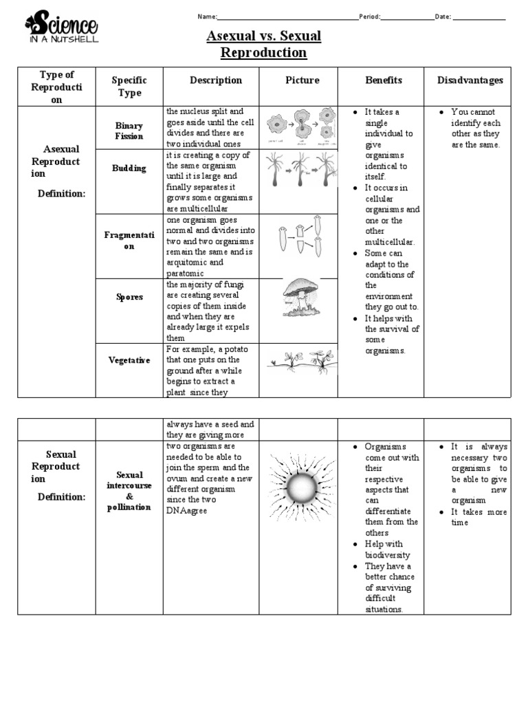 Asexualvs Sexual Reproductionina Nutshell | PDF | Reproduction | Sexual ...