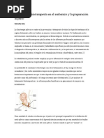 Marcha de La Gestante | PDF | El embarazo | Pie
