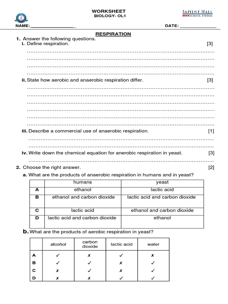 Aerobic vs Anaerobic Respiration Worksheet | PDF | Science & Mathematics