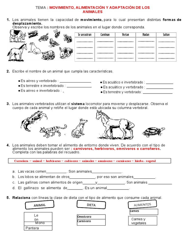 Clasificación de Animales según Alimentación | PDF | Anfibio | Vertebrados