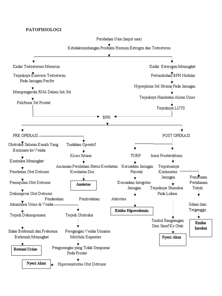 Patofisiologi BPH dan Dampaknya | PDF