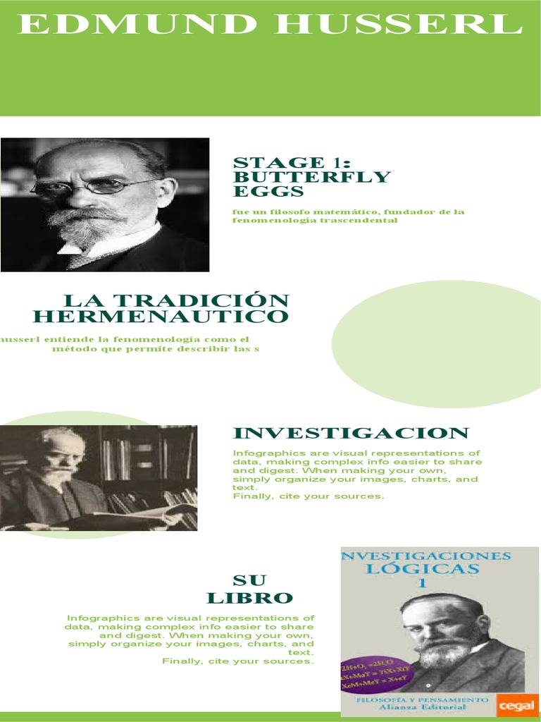 Green Illustration Butterfly Timeline Infographic Pdf