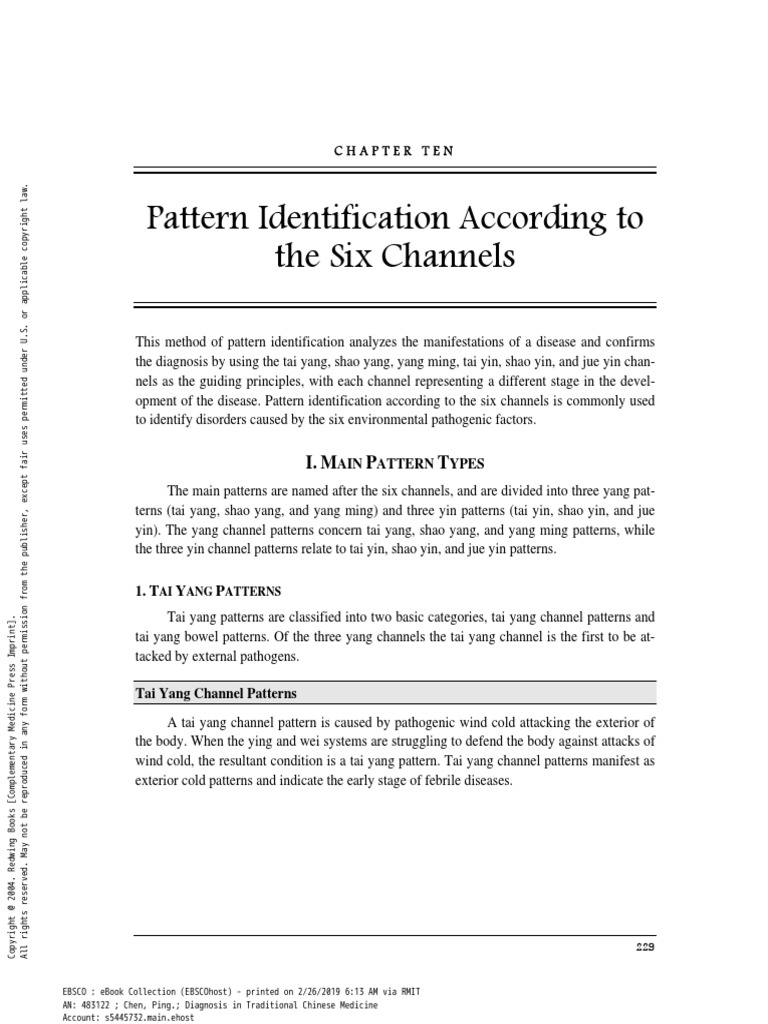 Pattern Identification Acording To Six Channels | PDF | Traditional ...