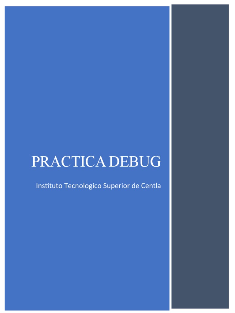 Practica Debug | PDF