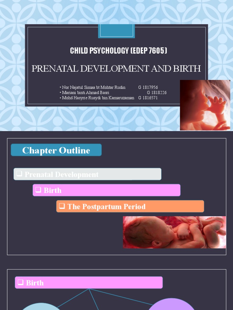 Prenatal Development and Birth: Child Psychology (Edep 7605) | PDF ...
