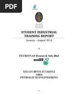 Pengerang Integrated Complex Overview | PDF | Oil Refinery | Cracking ...