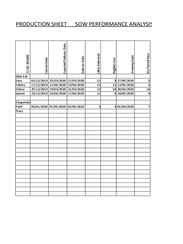 Pig Production Sheet Analysis | PDF | Domestic Pig | Mammals As Pets