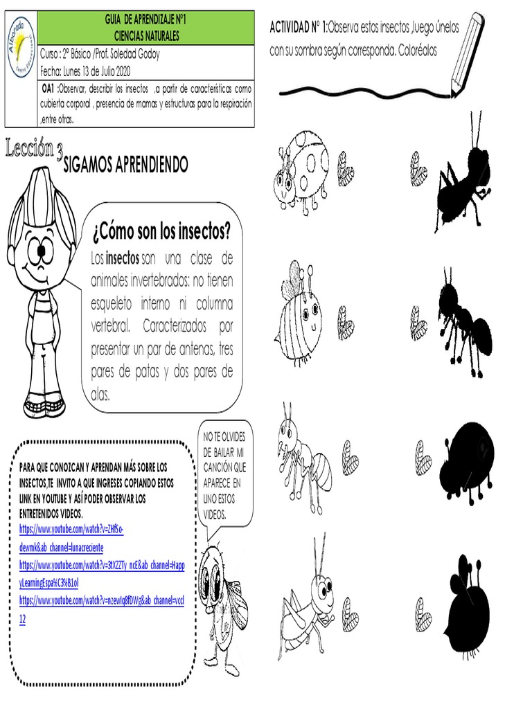 Guia #1 Ciencias 2° Básico | PDF | Insectos | Naturaleza