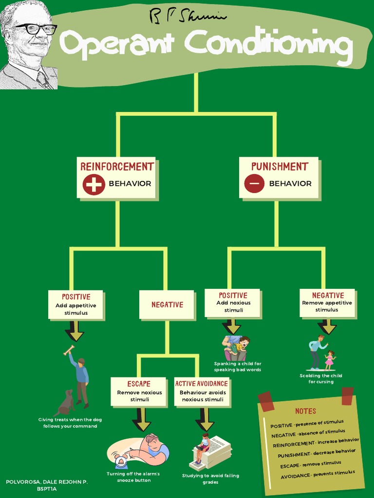 Operant Conditioning Notes | PDF | Reinforcement | Scientific Theories