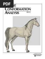 Understanding the Horse's Stay Apparatus | PDF | Skeletal System | Joints