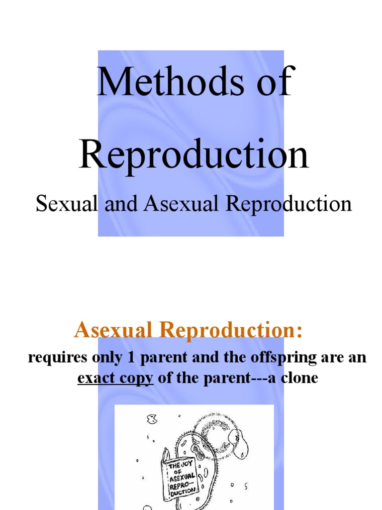 Methods of Reproduction | Download Free PDF | Fertilisation | Sexual ...