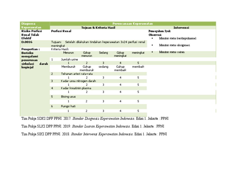 Sdki Slki Siki Risiko Perfusi Renal Tidak Efektif Diagnosa Intervensi ...