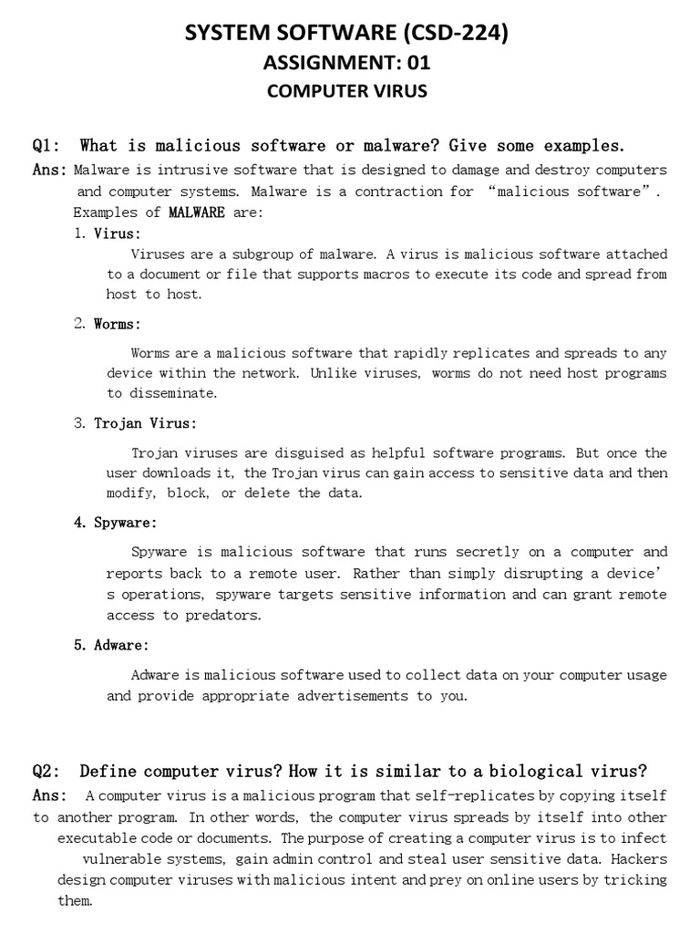 System Software | PDF | Malware | Computer Virus