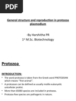 Calculating LD 50 LC 50 PROBIT ANALYSIS IN EXCEL | PDF | Statistical ...