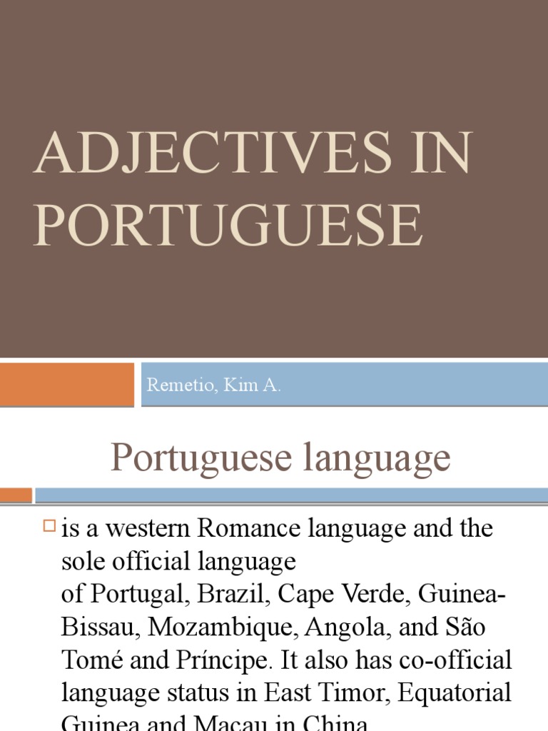 Understanding Portuguese Adjectives | PDF | Grammatical Gender ...