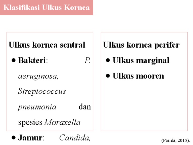 Klasifikasi Ulkus Kornea | PDF