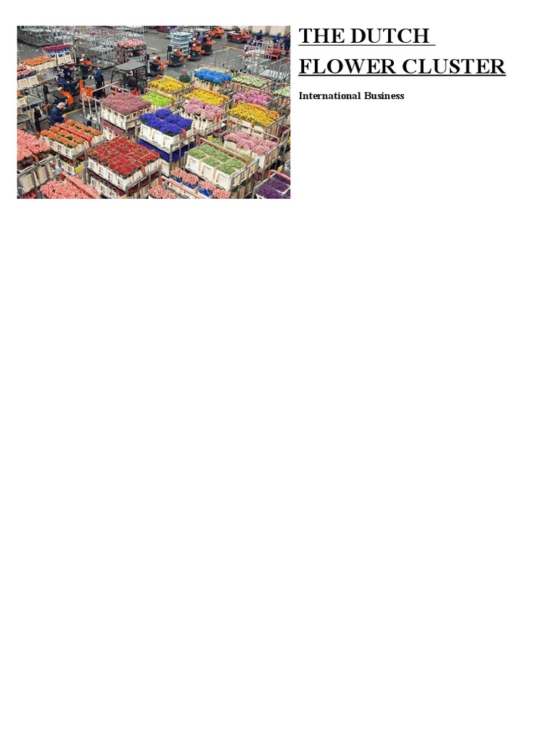 The Dutch Flower Cluster: International Business | PDF | Netherlands ...
