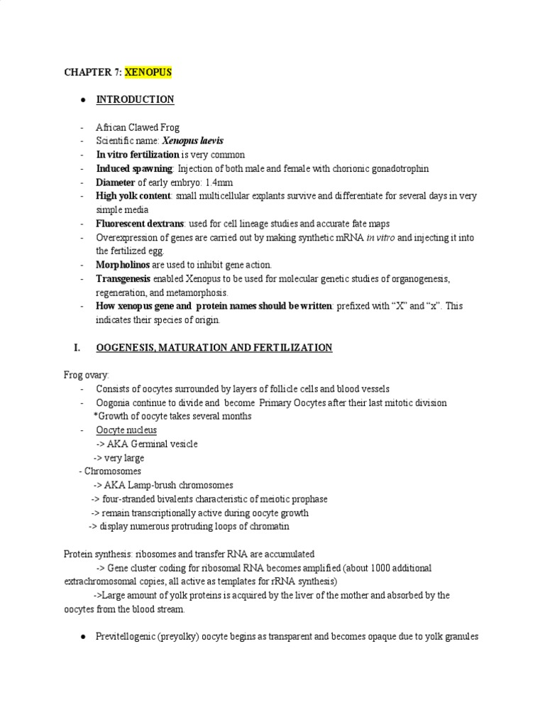 XENOPUS | PDF | Gene Expression | Life Sciences