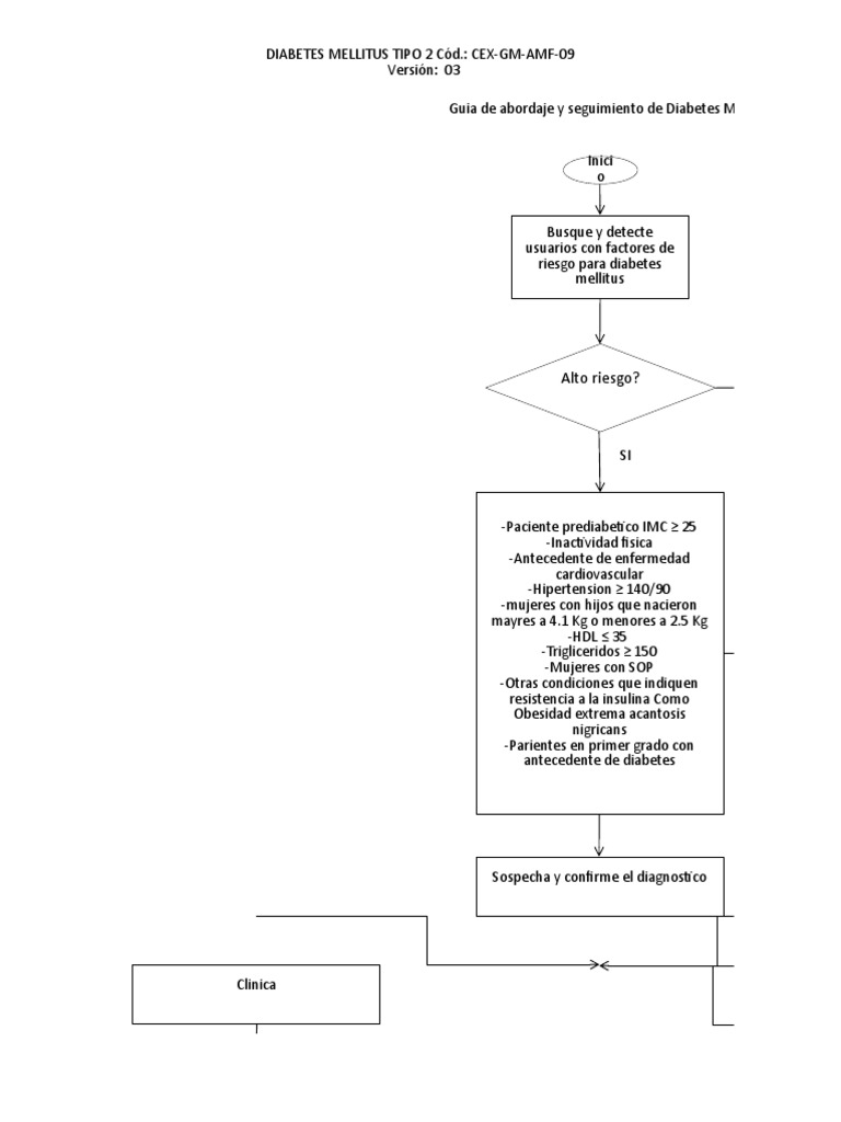 CEX-GM-AMF-09 DIABETES MELLITUS - Flujo | PDF | Diabetes | Páncreas ...