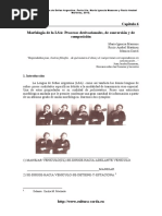 Libro - Lsa - Lengua Señas | PDF | Lenguaje de señas | Multilingüismo