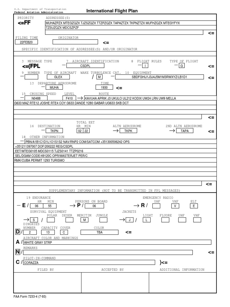 International Flight Plan: Federal Aviation Administration | PDF ...