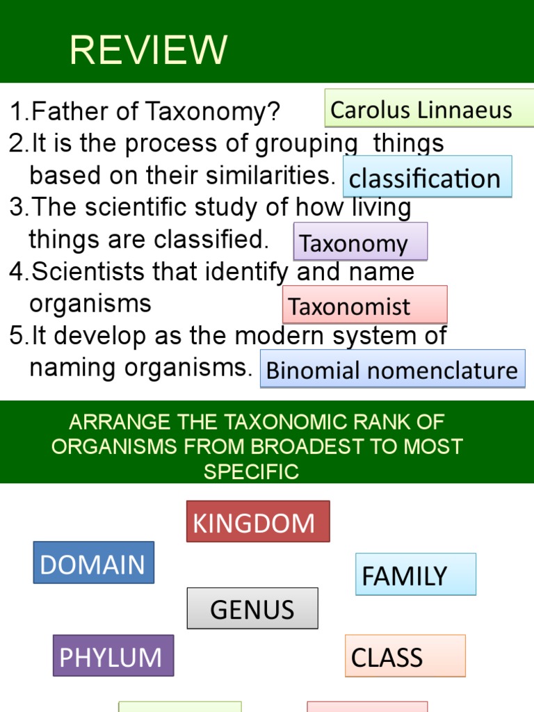 Taxonomy | PDF | Taxonomy (Biology) | Fungus