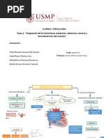 En Qué Consiste El MAPA y AMPA | PDF | Hipertensión | Presión sanguínea