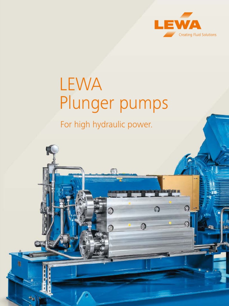 D1-620 LEWA Plunger-Pumps en Us | PDF | Pump | Gear