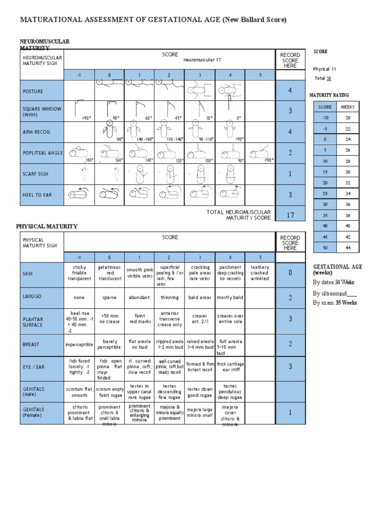 Maturational Assessment of Gestational Age (New Ballard Score) | PDF ...