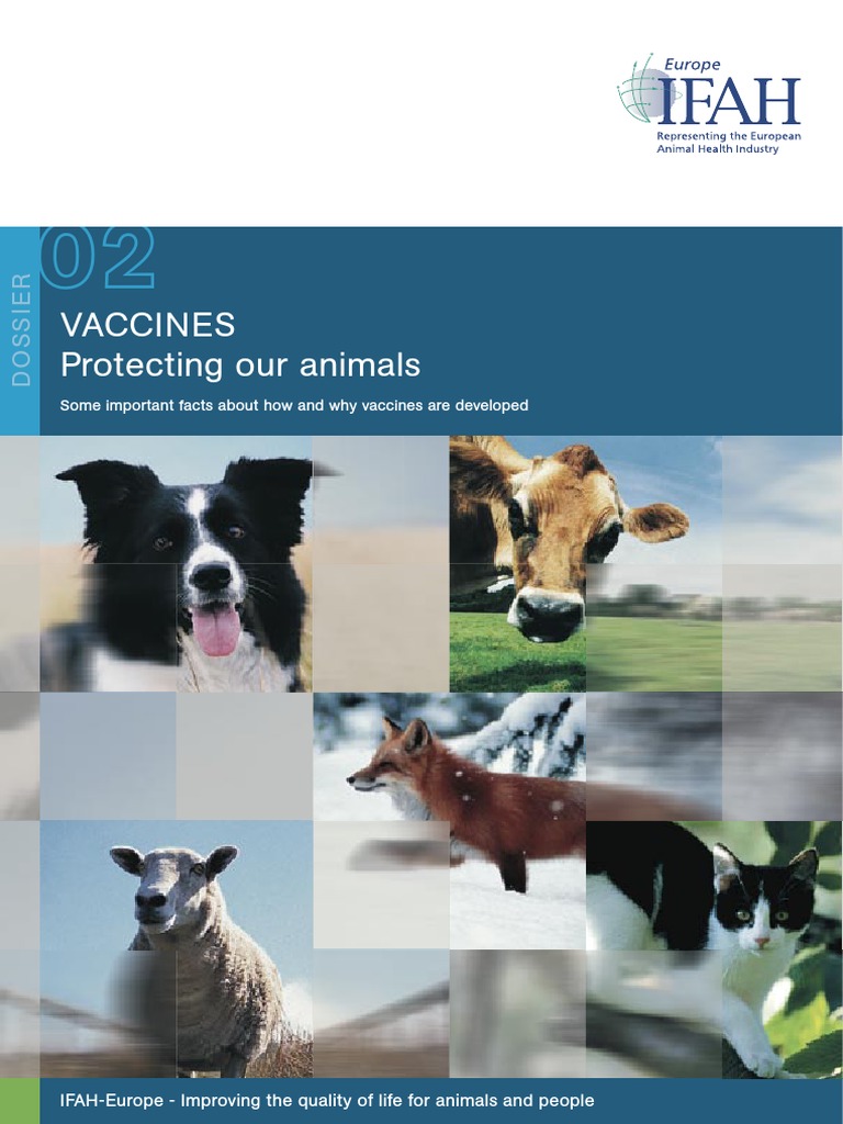 IFAH VaccinesBrochure v6 | PDF | Vaccines | Immune System