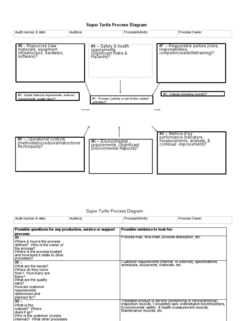 Super Turtle Process Audit Template | PDF | Audit | Performance Indicator
