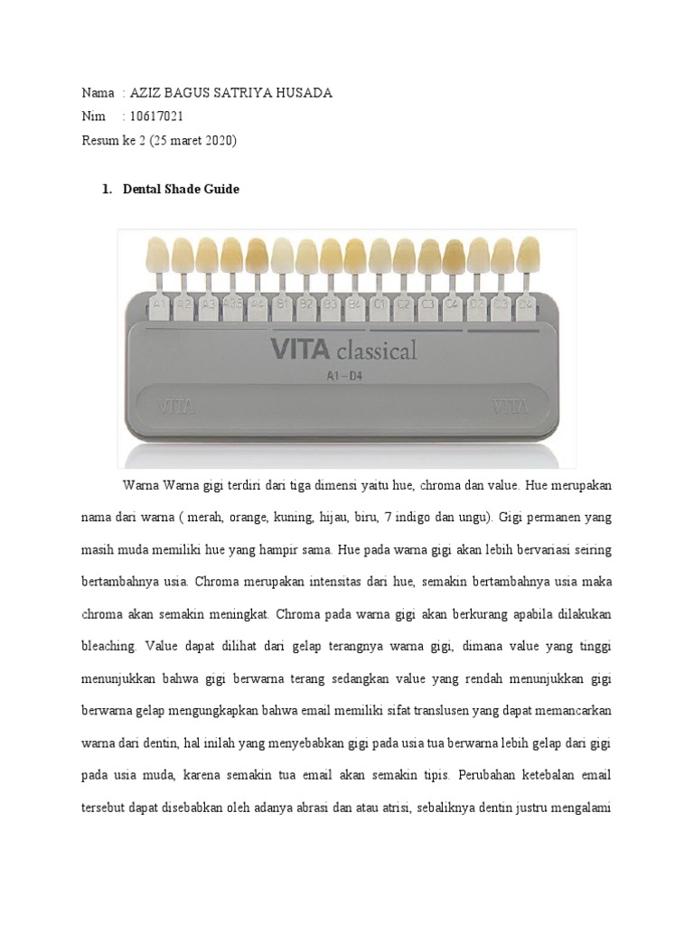 Dental Shade Guide | PDF