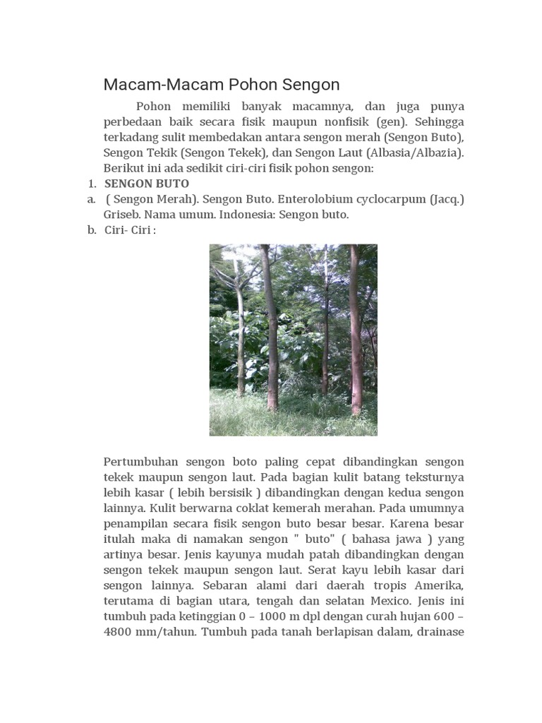 Jenis-Jenis Pohon Sengon dan Ciri-Cirinya | PDF