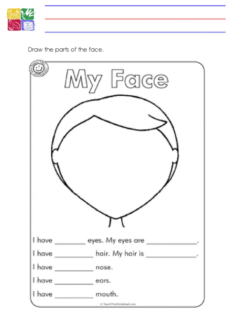 Parts of The Face | PDF