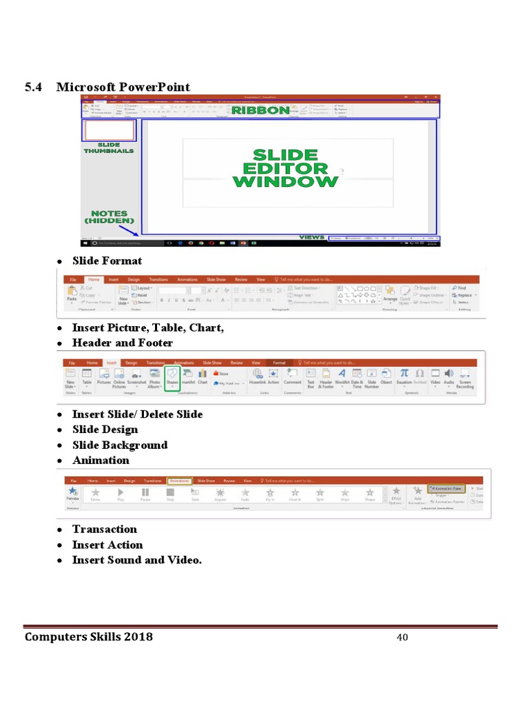 PowerPoint Slide Formatting Guide | PDF | Computers