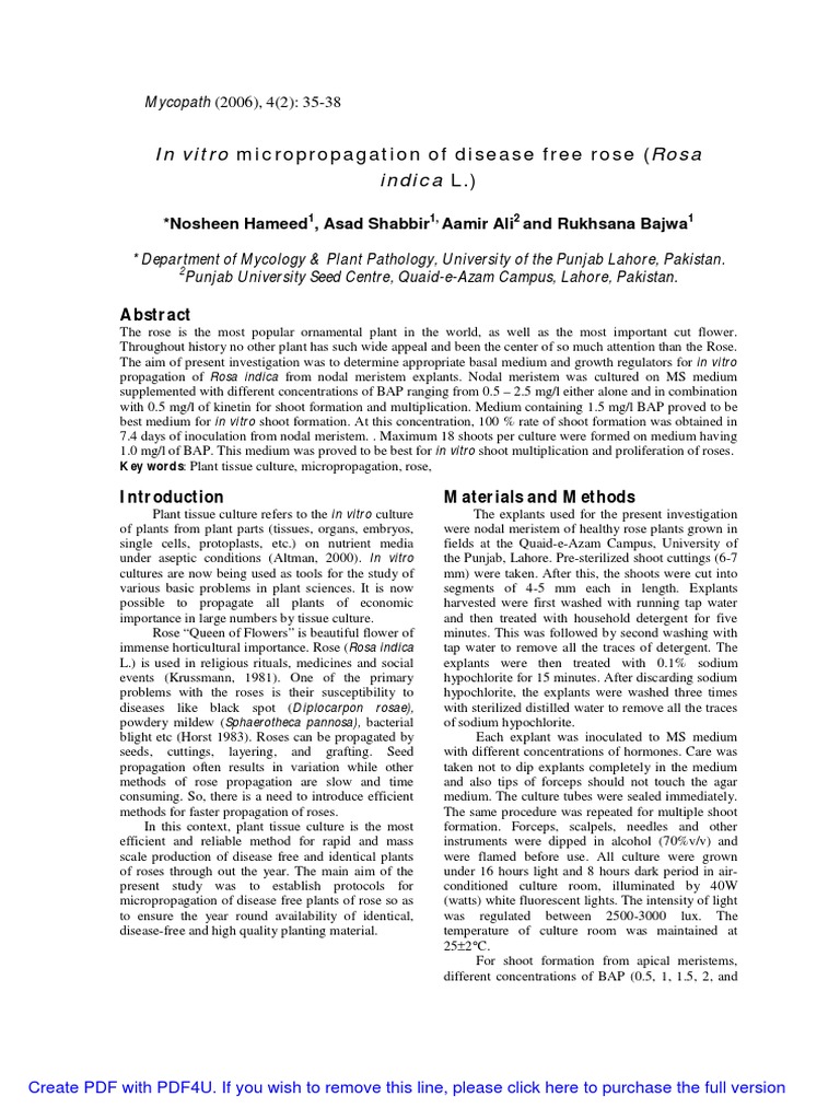 In Vitro Micropropagation of Disease Free Rose (Rosa Indica L.) | PDF ...
