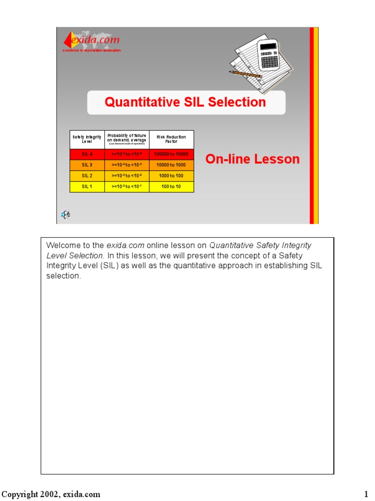 Quant Sil PDF | PDF | Prevention | Risk