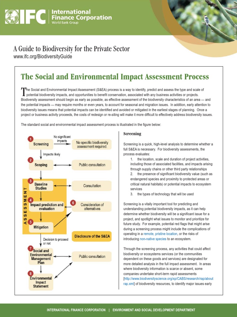 The Social and Environmental Impact Assessment Process: A Guide To ...