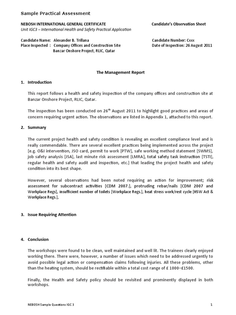 NEBOSH IGC 3 MGT Report (Alexander B. Trillana) | PDF