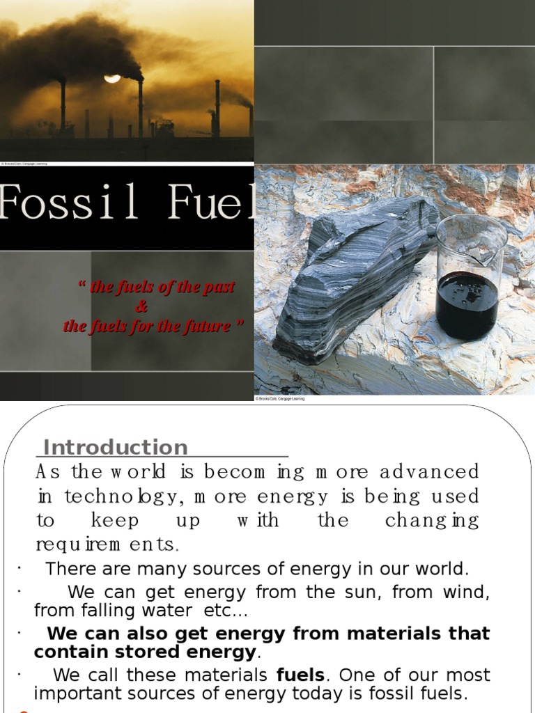 Fossil Fuel | PDF | Bituminous Coal | Coal