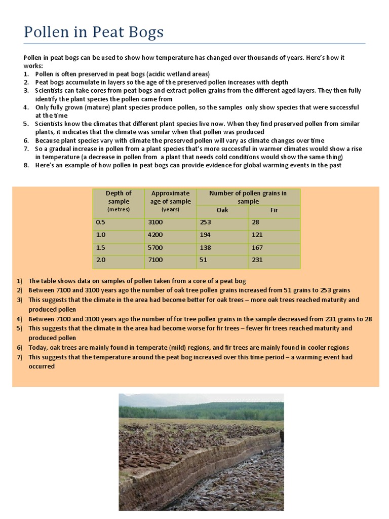 Pollen in Peat Bogs | PDF | Peat | Pollen