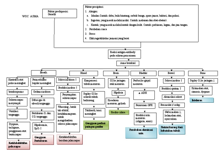 Woc Asma Bronchiale | PDF