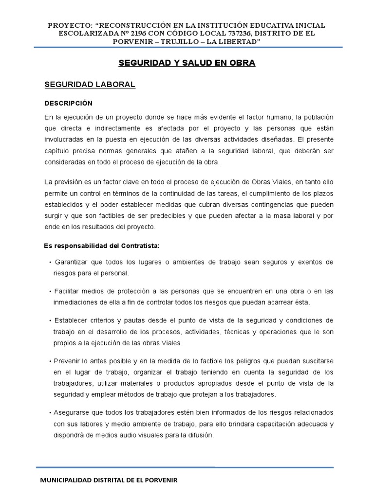 Informe de Seguridad y Salud en Obra - Ok | PDF | Seguridad y salud ocupacional | Bienestar