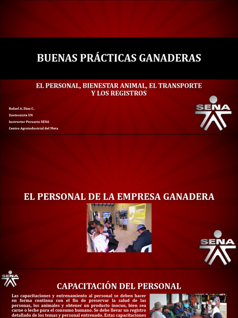 BPG Personal y Bienestar Animal | PDF | Bienestar de los animales | Vacas