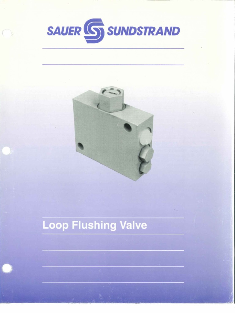 Loop Flushing Valve | PDF