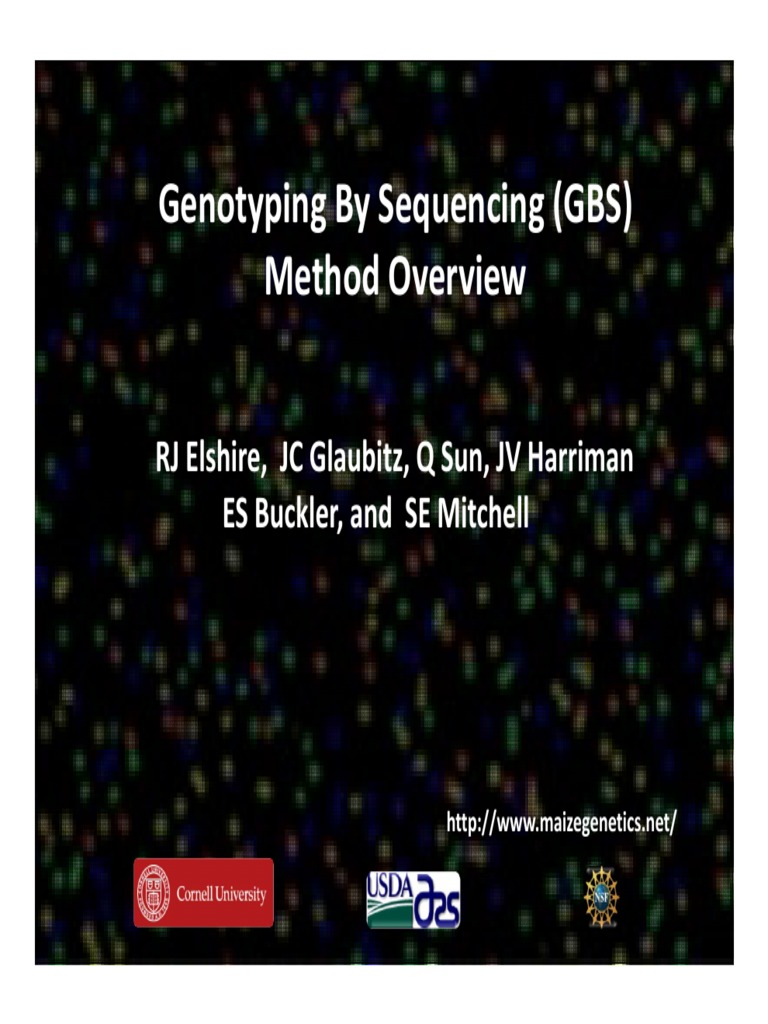 Gbs Method Overview1 PDF | PDF | Dna Sequencing | Primer (Molecular ...