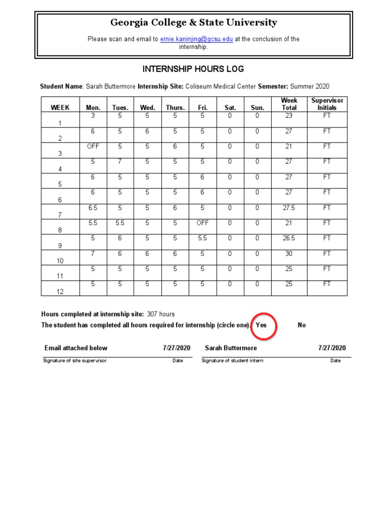 Intern Hours Log 2020 | PDF