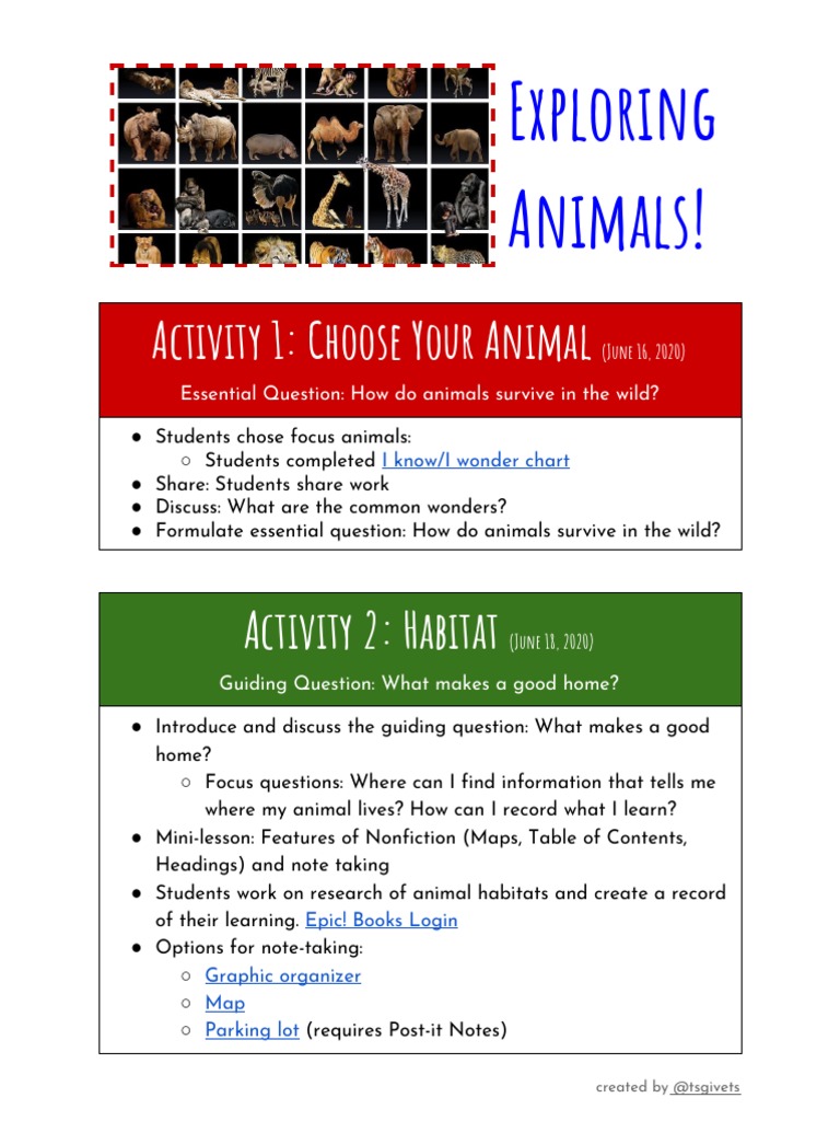 Exploring Animals | PDF