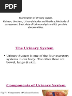 Q-Tip Test for Urethral Mobility | PDF | Urinary Incontinence | Urinary ...