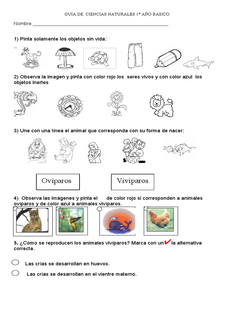 Evaluacion Seres Vivos y No Vivos | PDF